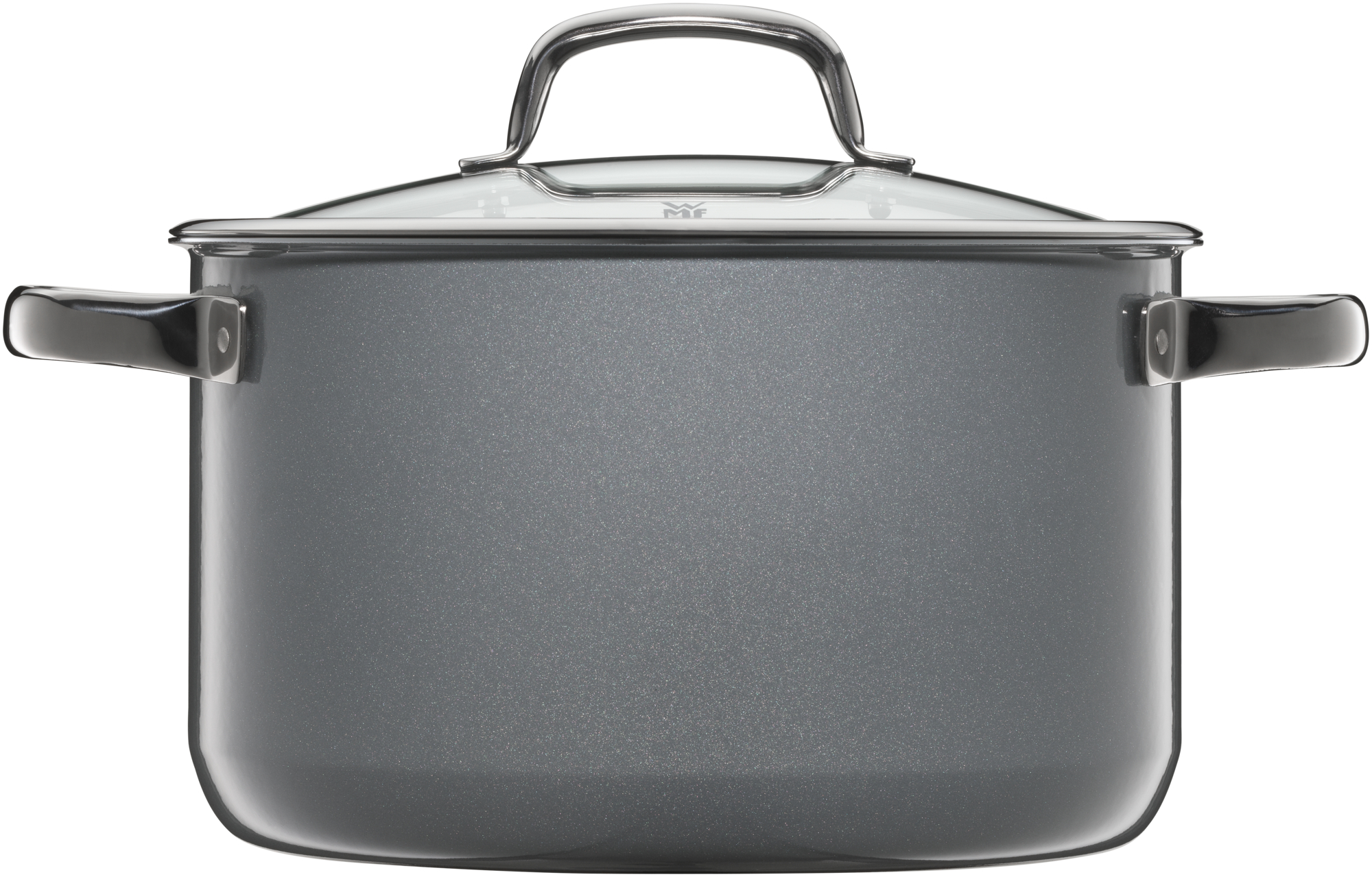 WMF Fusiontec Mineral Soup Pot 24cm with lid Platinum | WMF Singapore